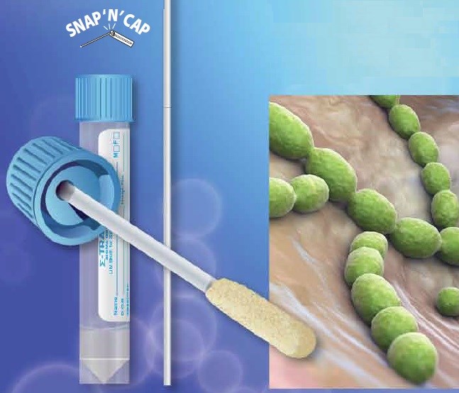 Labema - life science - ja bioteknologia-alan asiantuntija
